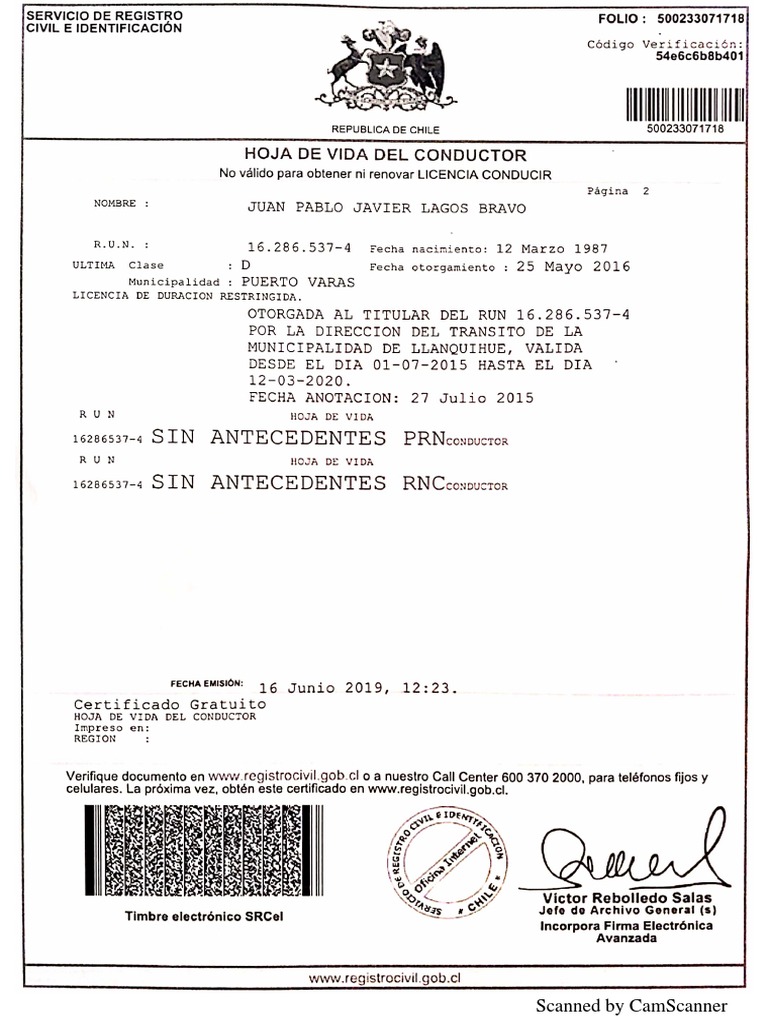 hoja de vida conductor