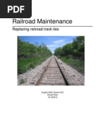 TRT-909 Track Renewal System Guide | PDF | Track (Rail Transport ...