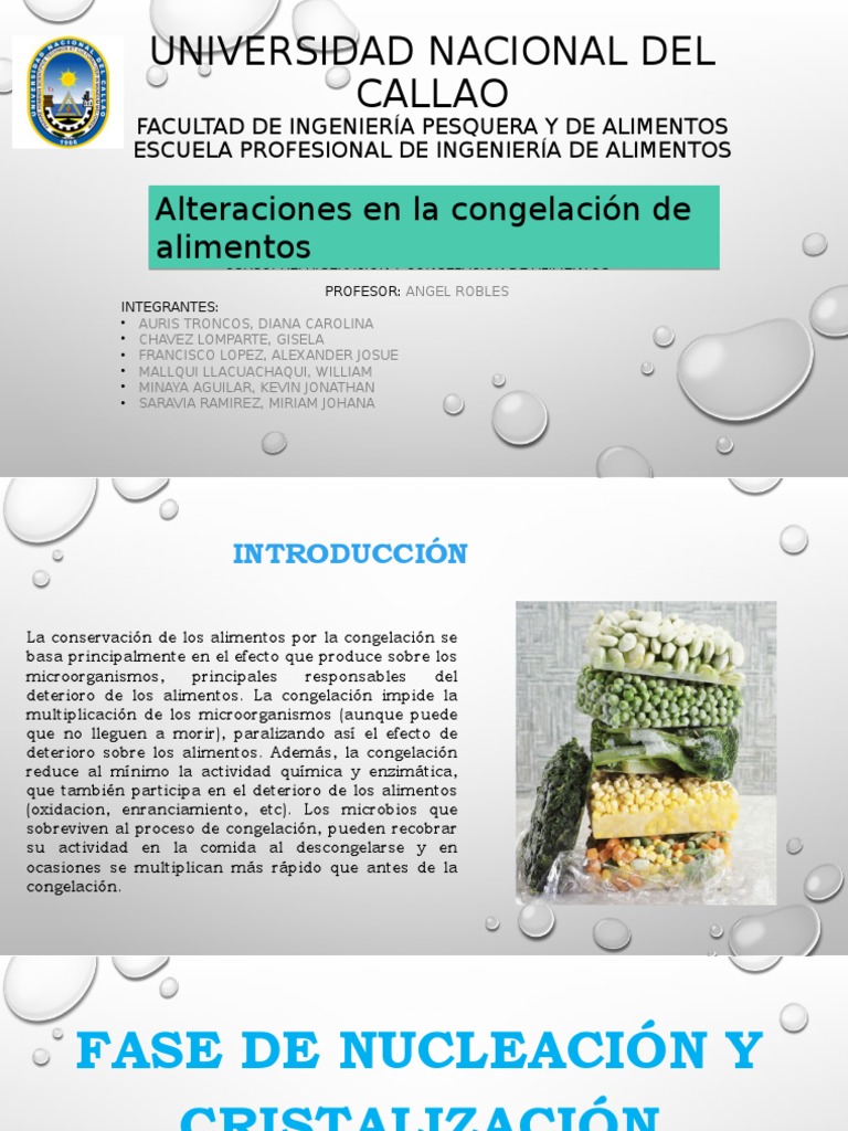 Alteración en La Congelación de Alimentos | PDF | Nucleación | Hielo
