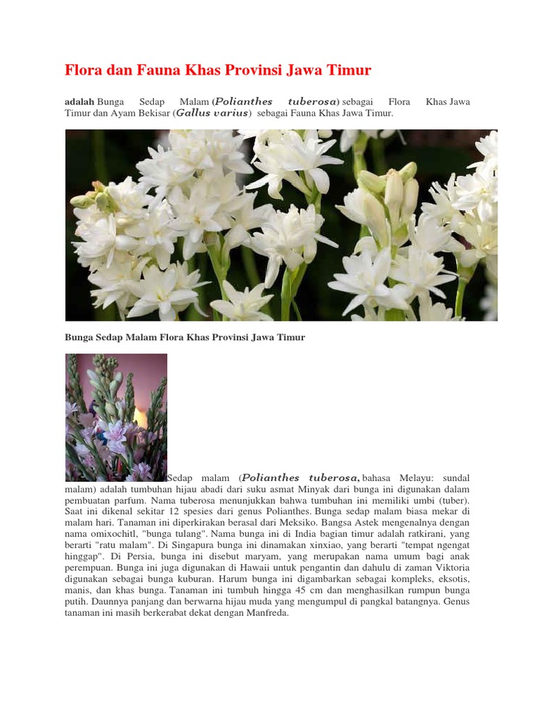 Flora Dan Fauna Khas Provinsi Jawa Timur | PDF | Griya & Taman | Sains ...