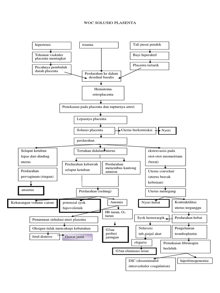 Woc Solusio Placenta | PDF
