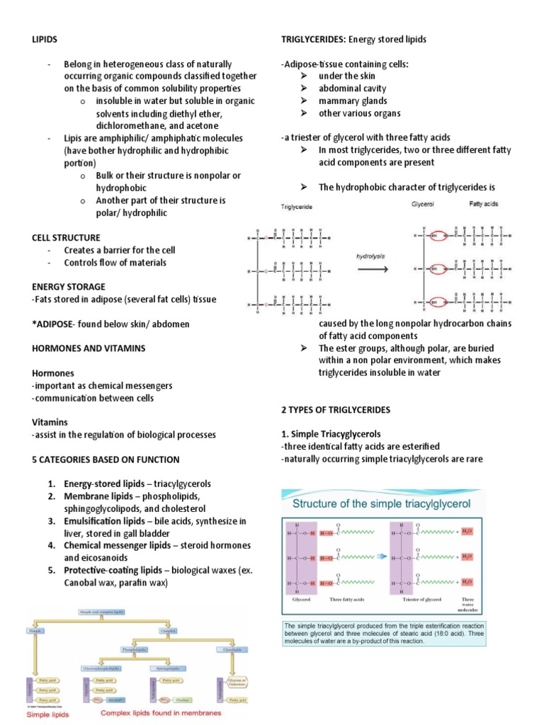 Lipids | PDF | Lipid | Fatty Acid