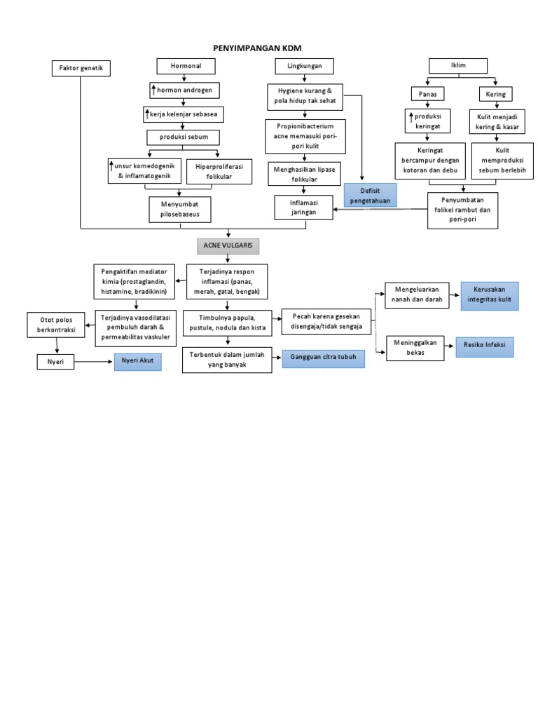 Pathway Acne Vulgaris | PDF
