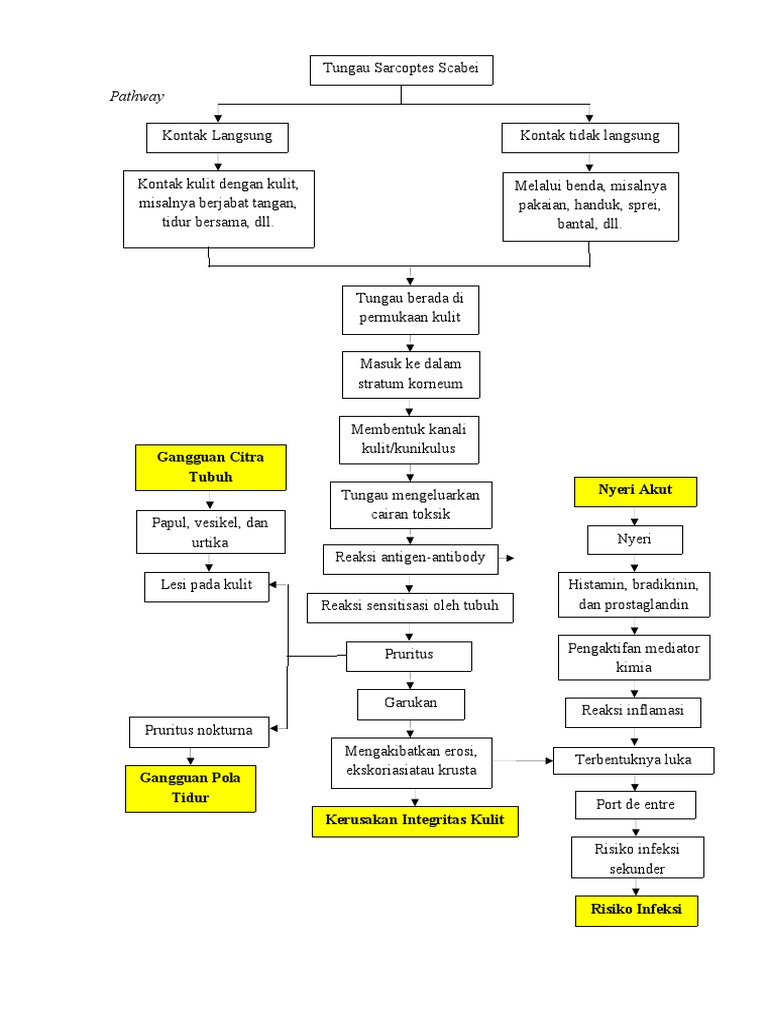 Pathway Skabies | PDF
