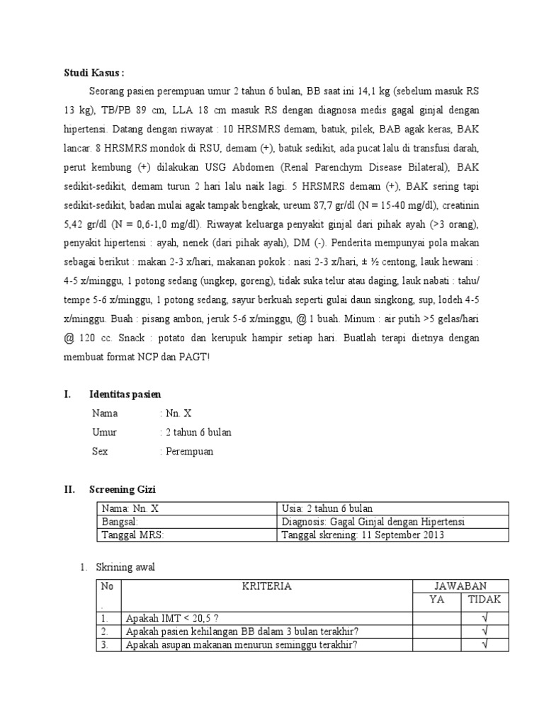 NCP Gagal Ginjal | PDF