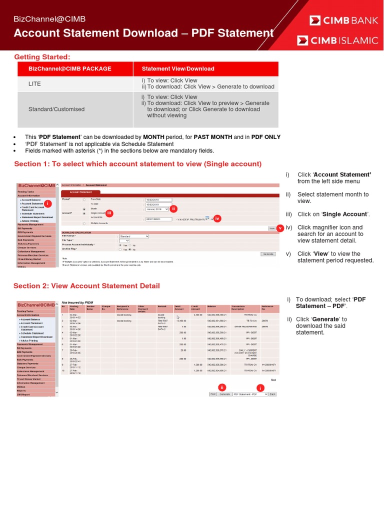 Account Statement (PDF Statement) Guide | PDF | Software | System Software