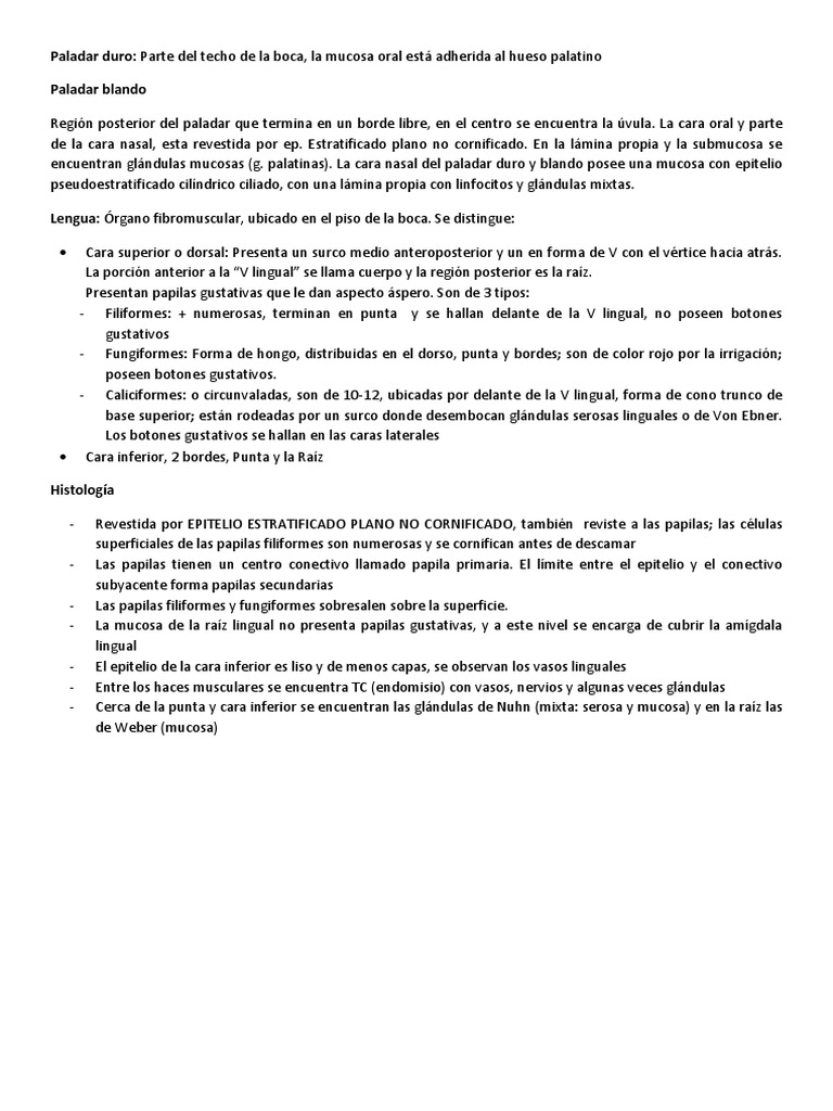 Estructura del Paladar Duro y Blando | PDF