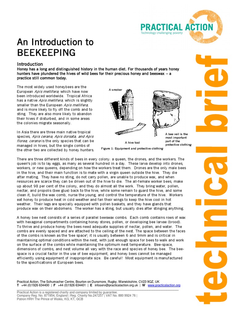 Introduction to Beekeeping | PDF | Honey Bee | Western Honey Bee