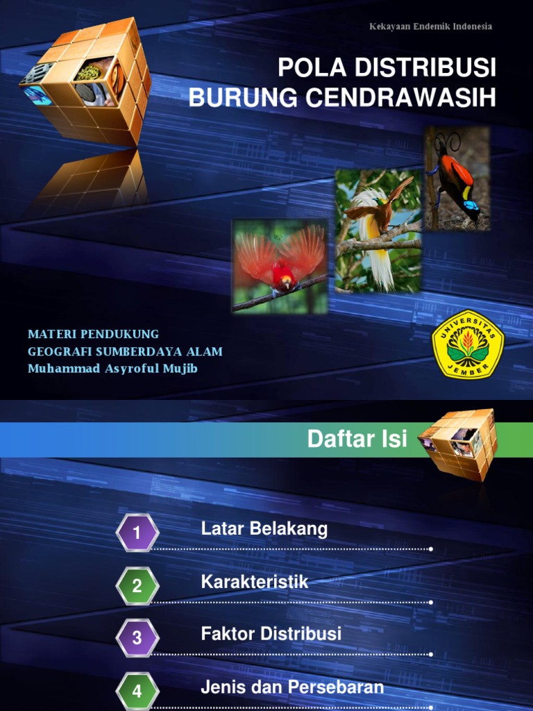 Contoh - Pola Distribusi Burung Cendrawasih | PDF
