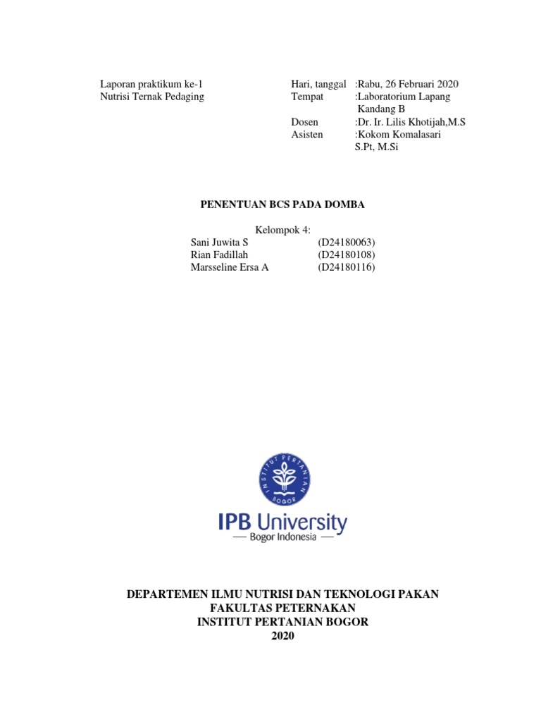 Sani Juwita Sinurat - D24180063 - Kel4 - NTDSore PDF | PDF