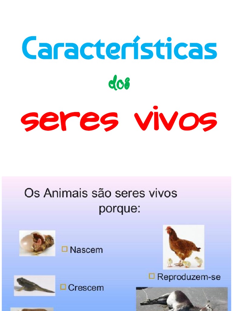 Características dos seres vivos: organização celular, nutrição ...