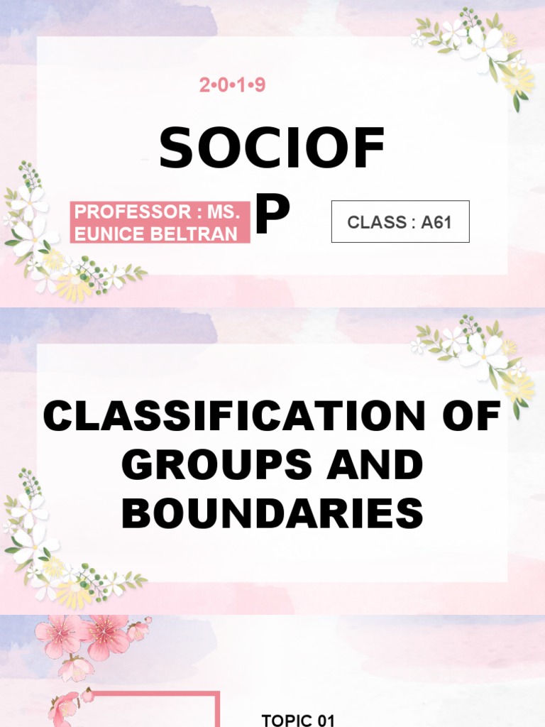 Classification of Social Groups and Boundaries | PDF | Social Group ...
