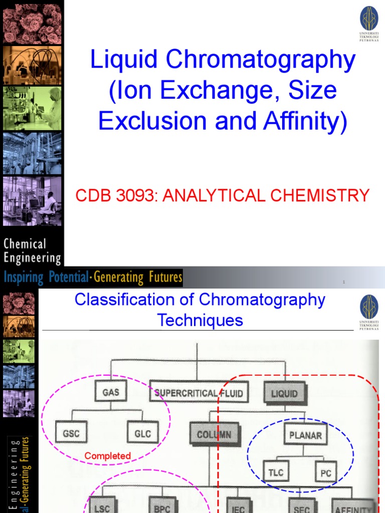 Liquid Chromatography Techniques for Analytical Chemistry (IEC, SEC ...