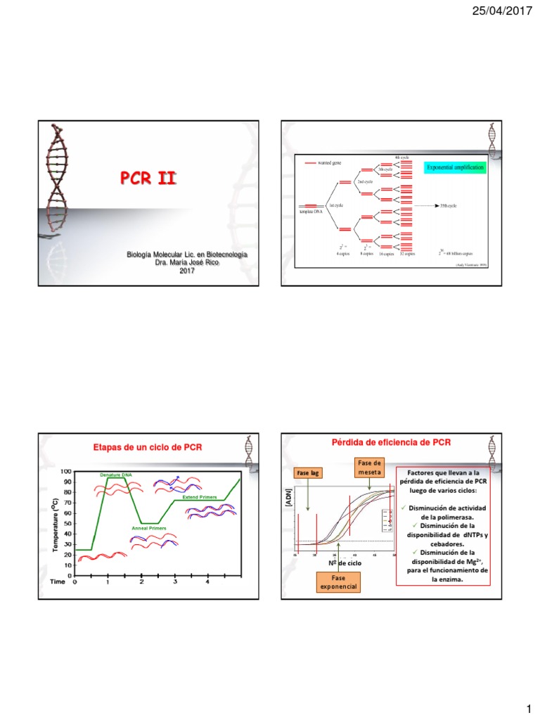 PCR Ii | PDF | Reacción en cadena de la polimerasa | Primer (Biología ...