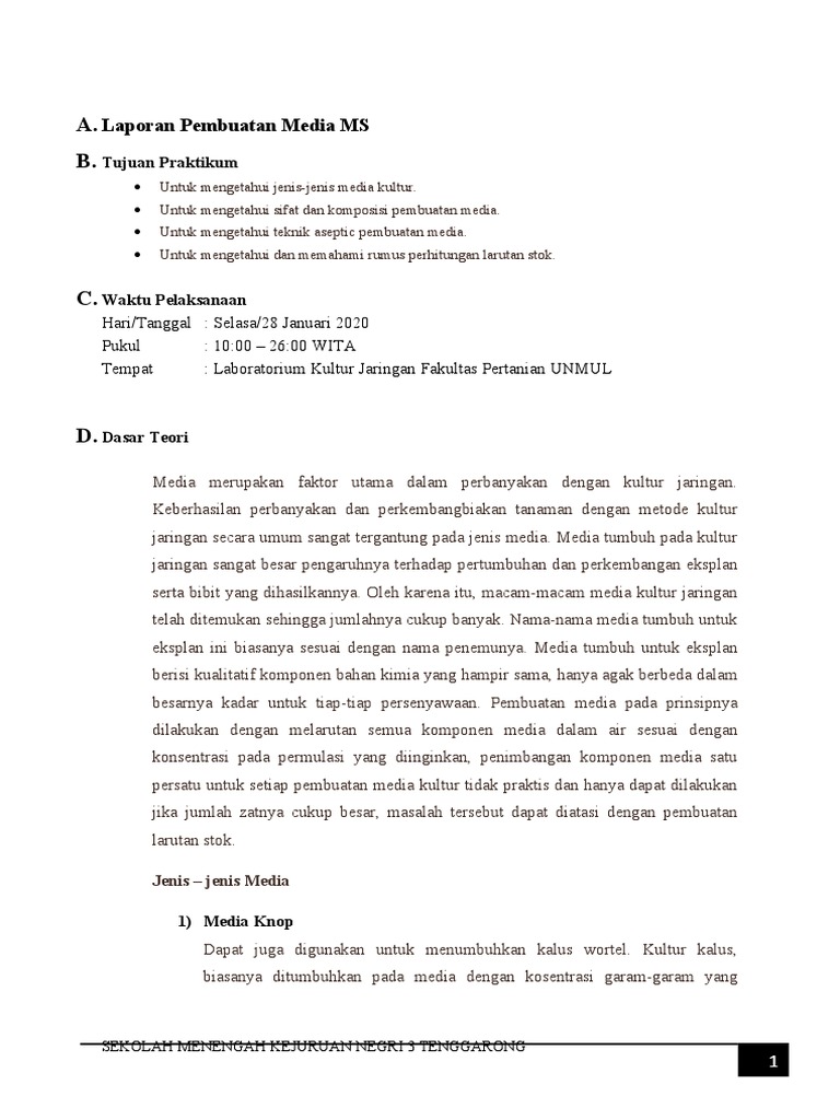 Laporan Media MS | PDF
