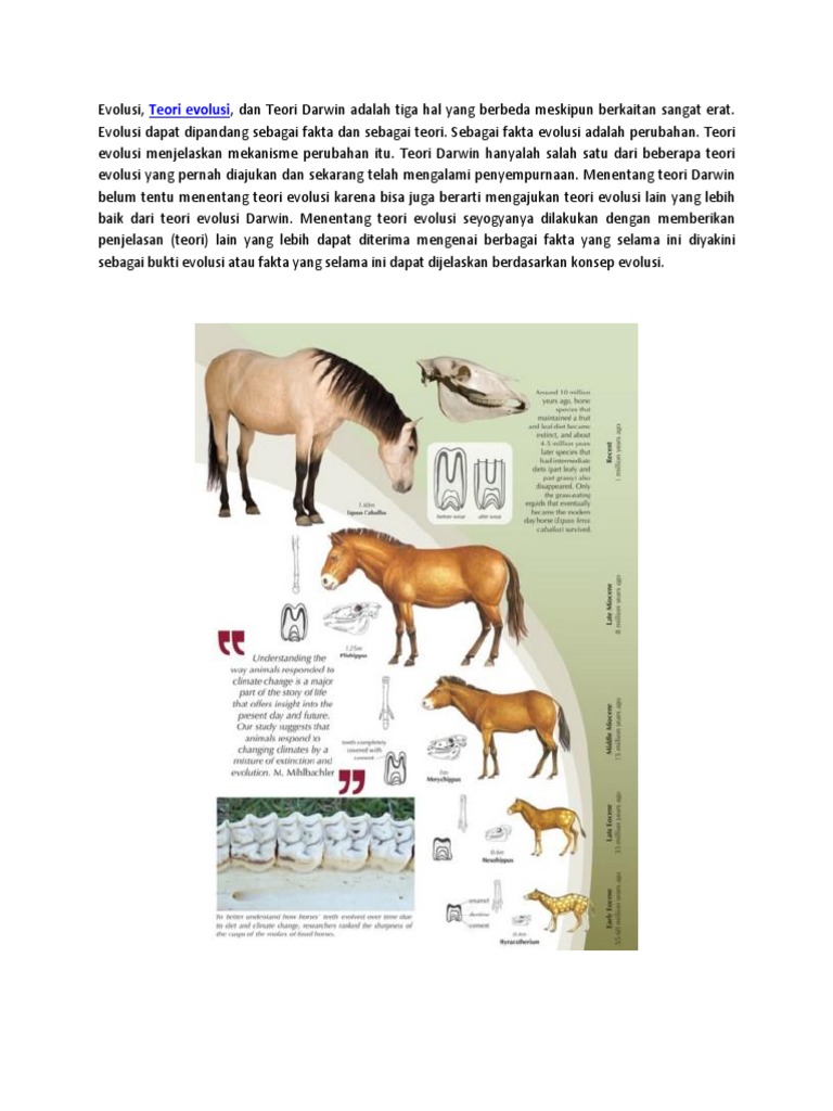 Evolusi | PDF