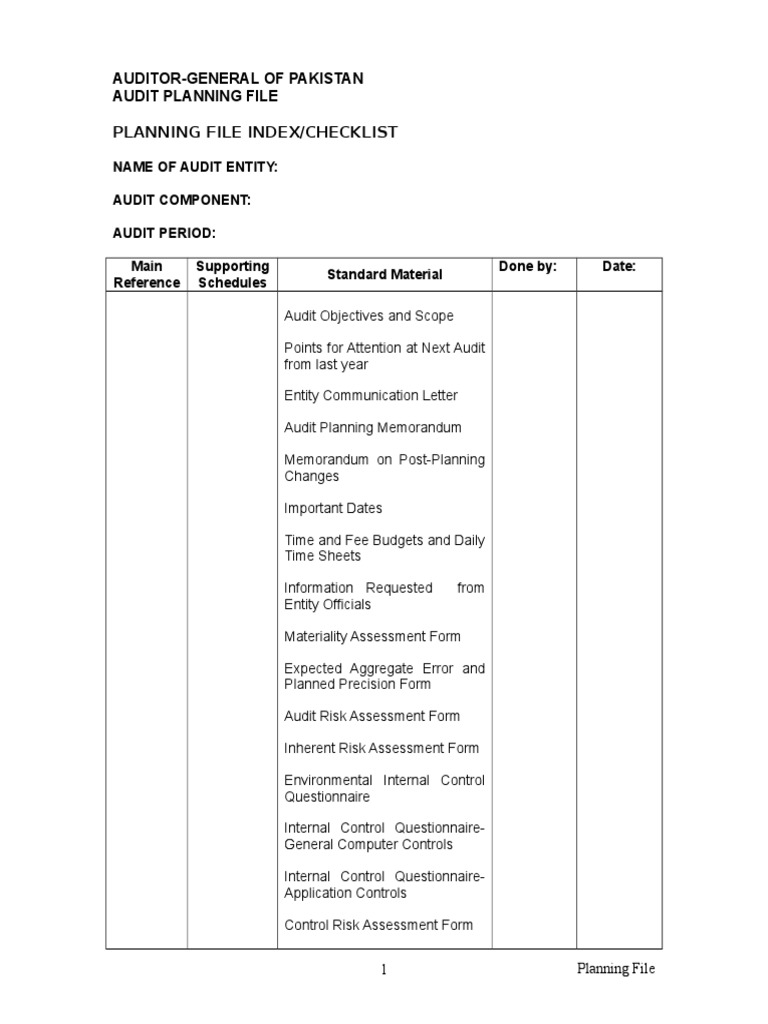 Planning File | PDF | Financial Audit | Internal Control