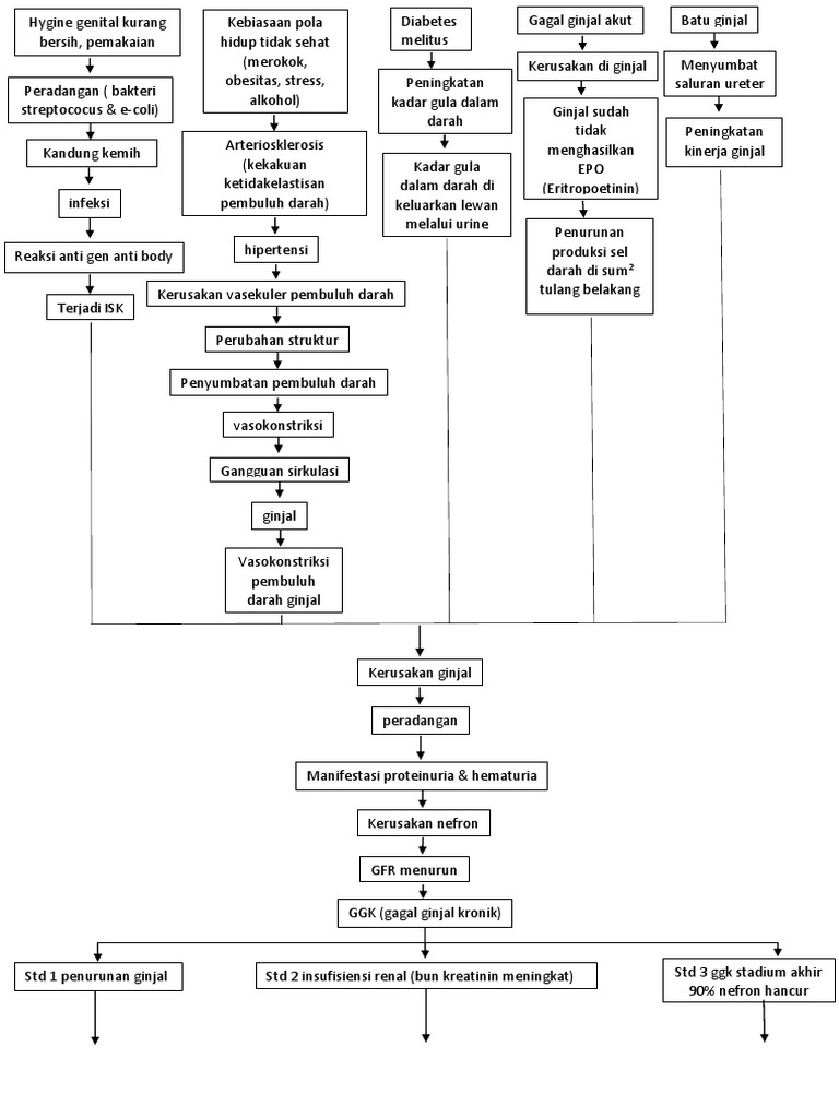 Pathway GGK Ibu Sari | PDF