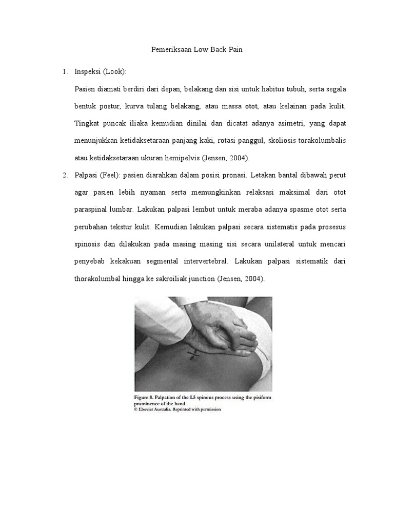 Pemeriksaan Khusus Low Back Pain | PDF