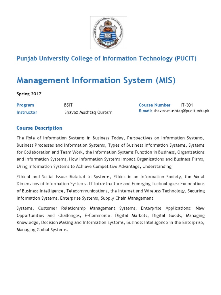 Information Systems Course Outline BSIT | PDF | Management Information ...
