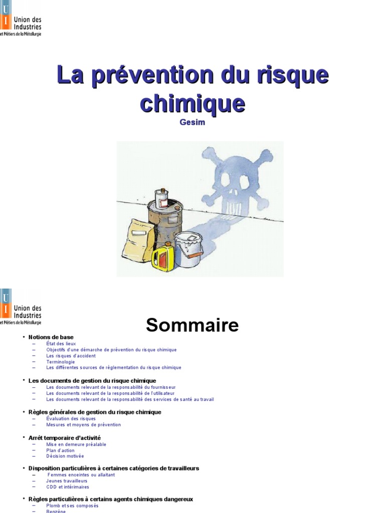201 - La Pry Vention Du Risque Chimique | PDF | Substances chimiques | Risque