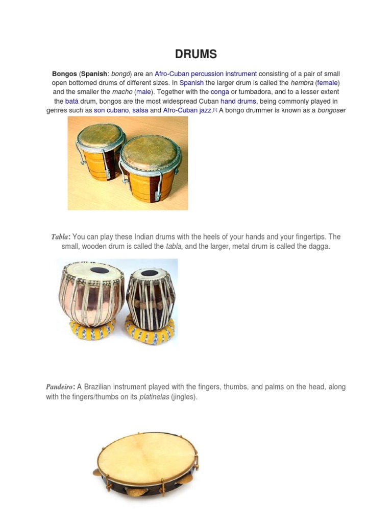 Musical Instruments WITH MEANING | PDF | String Instruments | Organology