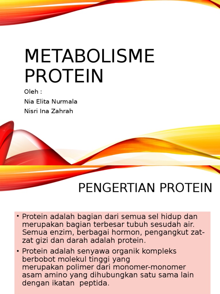 Metabolisme Protein | PDF