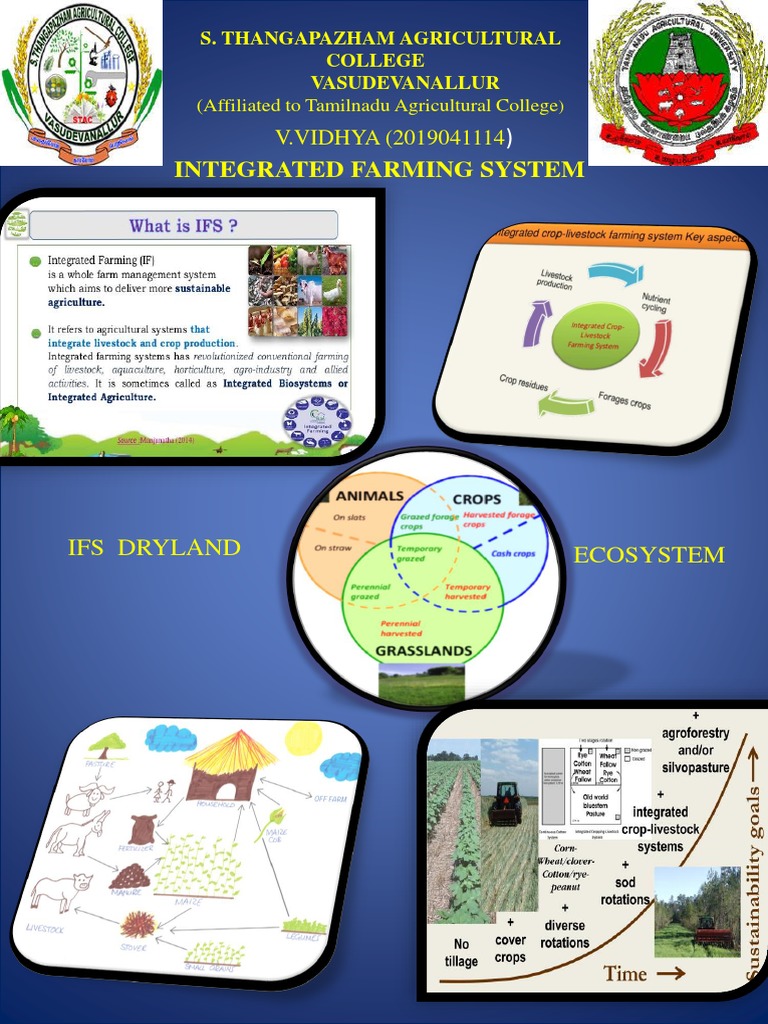 Ifs Poster | PDF