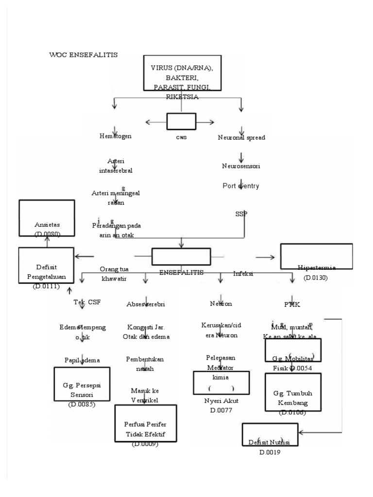 Woc Ensefalitis Dikonversi | PDF