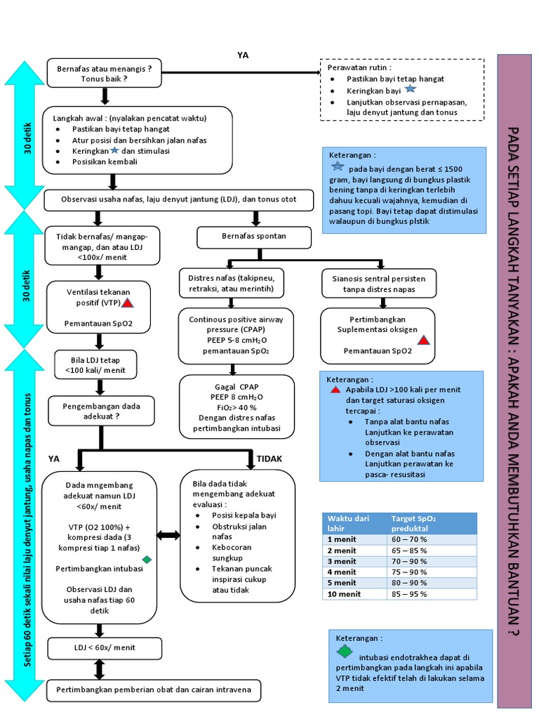 Algoritma Cpap | PDF