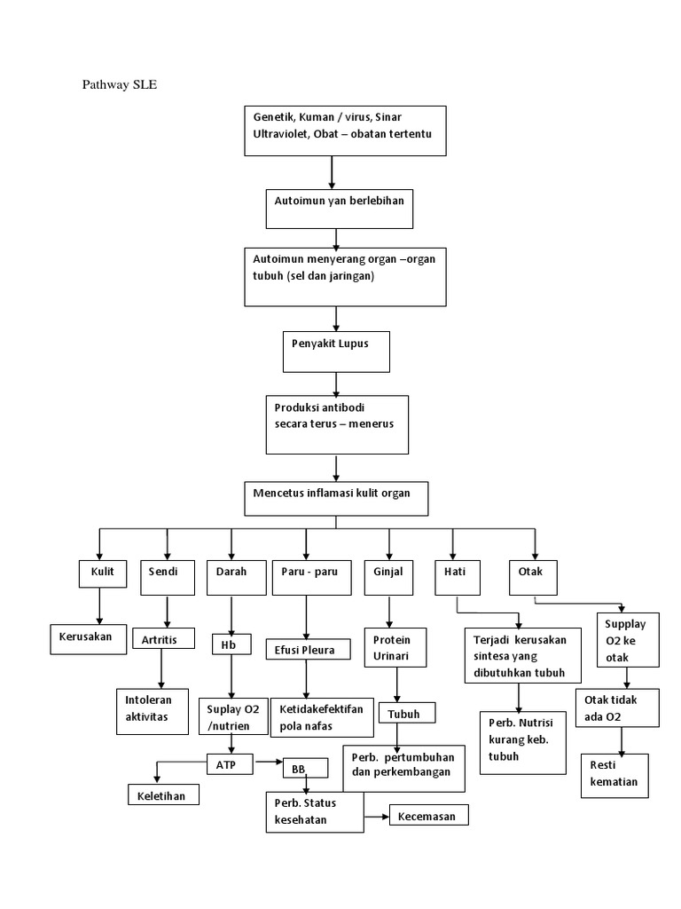 Pathway SLE | PDF