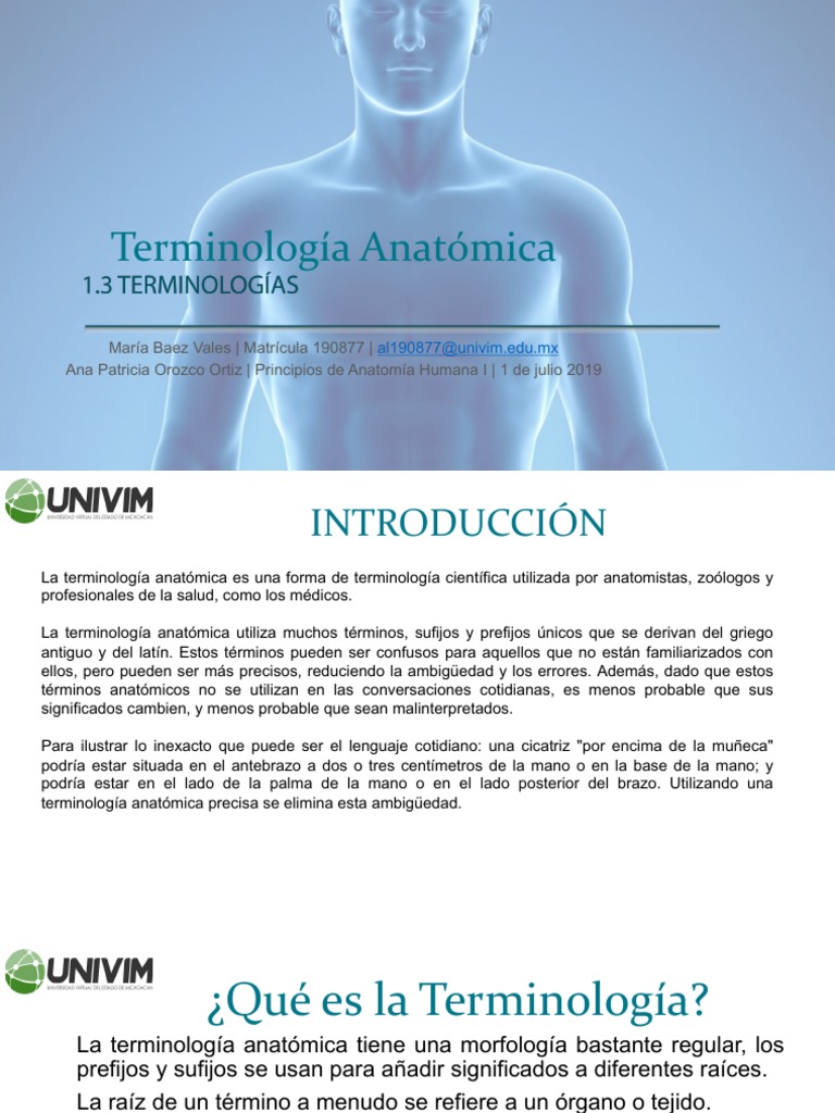 Importancia de la Terminología Anatómica | PDF | Términos anatómicos de ...