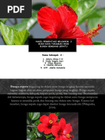 Morfologi Dan Anatomi Bunga Sepatu | PDF