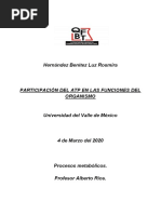 Función y Regulación del Calcio en Células | PDF | Neurona | Biología ...