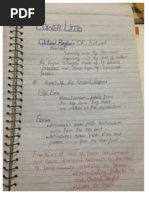 Lower Limb Anatomy Notes Dermatome (anatomy) Wikipedia