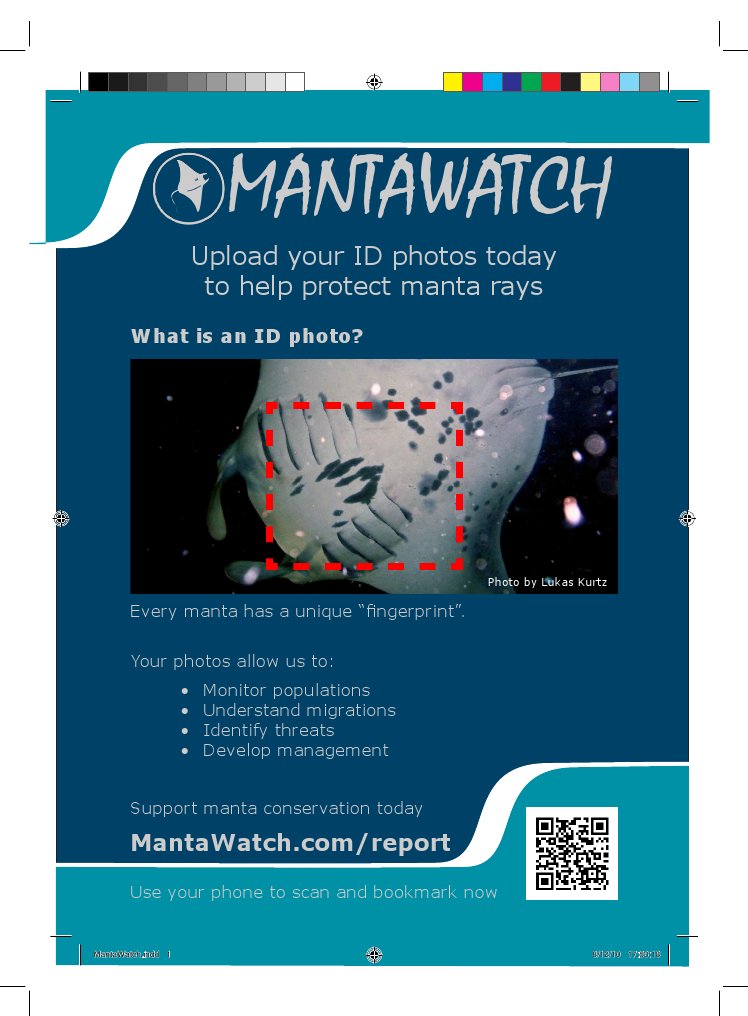 Manta Ray ID Photos and Encounter Tips | PDF | Wellness