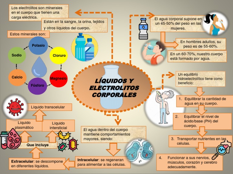 Mapa Mental Electrolitos | PDF | Electrólito | Fisiología