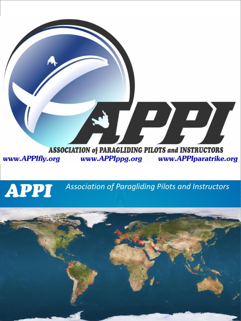 APPI Presentation.v1.1 PDF | PDF | Pay Pal | Test (Assessment)