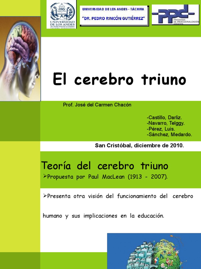El Cerebro Triuno | PDF | Sistema límbico | Cerebro