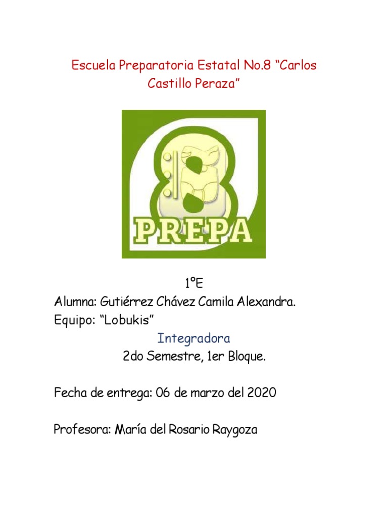 Conclusión Informática | PDF