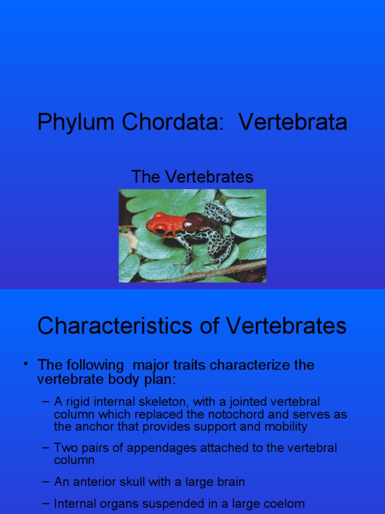 Biol 106 L Kingdom Animalia Chordata Vertebrates | PDF | Amphibian ...
