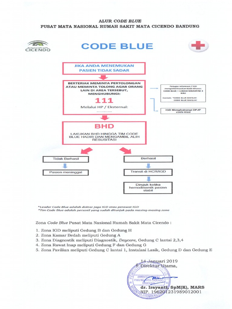 Alur Kode Blue | PDF
