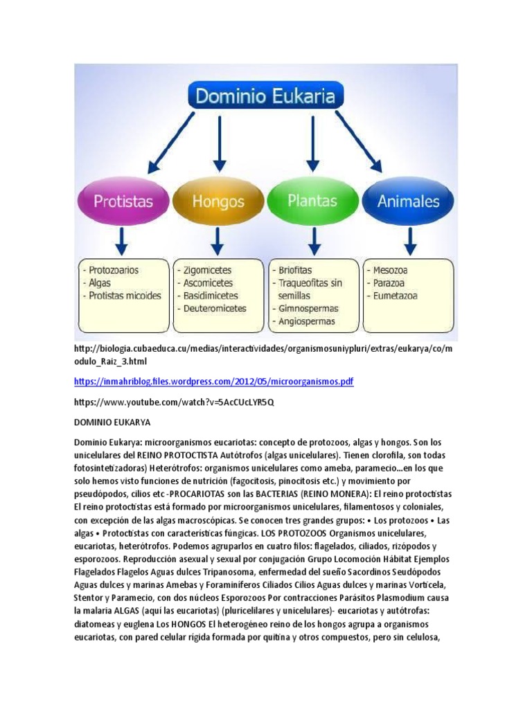 Dominio Eukarya