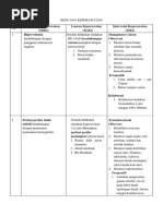 Sdki Resiko Infeksi | PDF