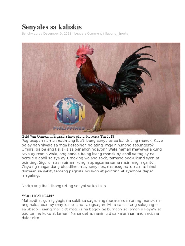 Senyales Sa Kaliskis | PDF