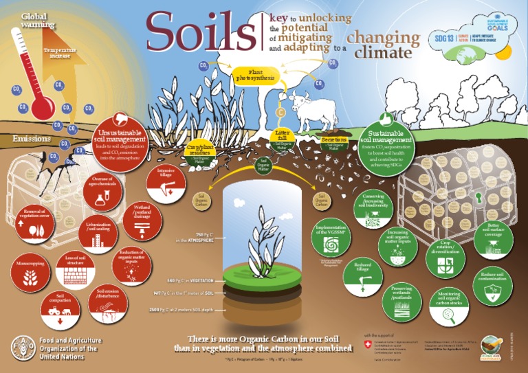 FAO Soils PDF | PDF | Organic Matter | Soil