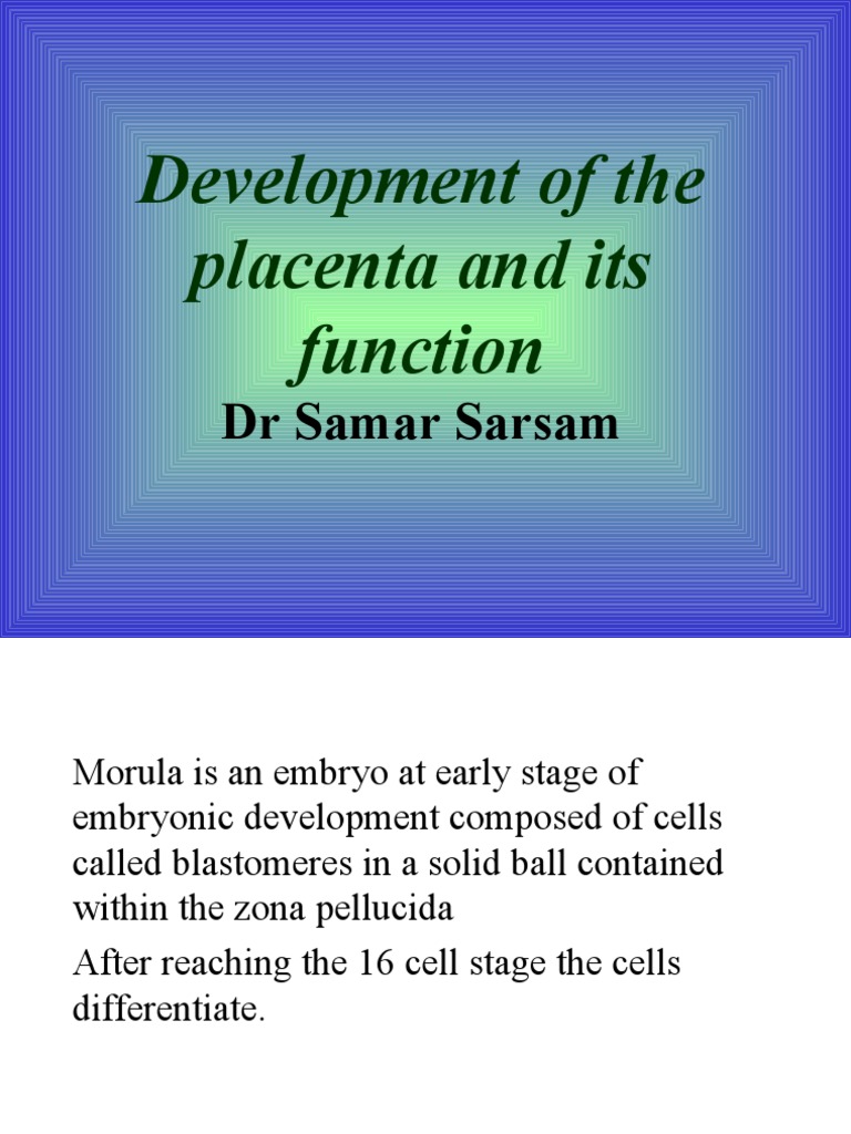 Development of The Placenta and Its Function | PDF | Placenta ...