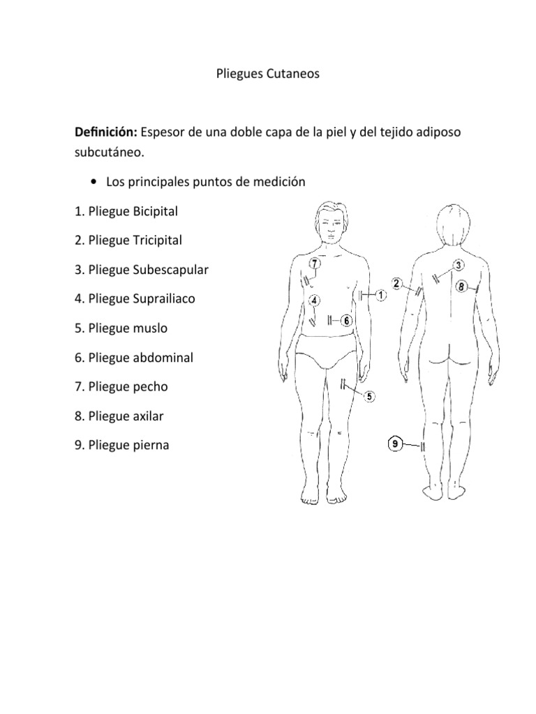 Medici n De Pliegues Cut neos Antropom tricos PDF