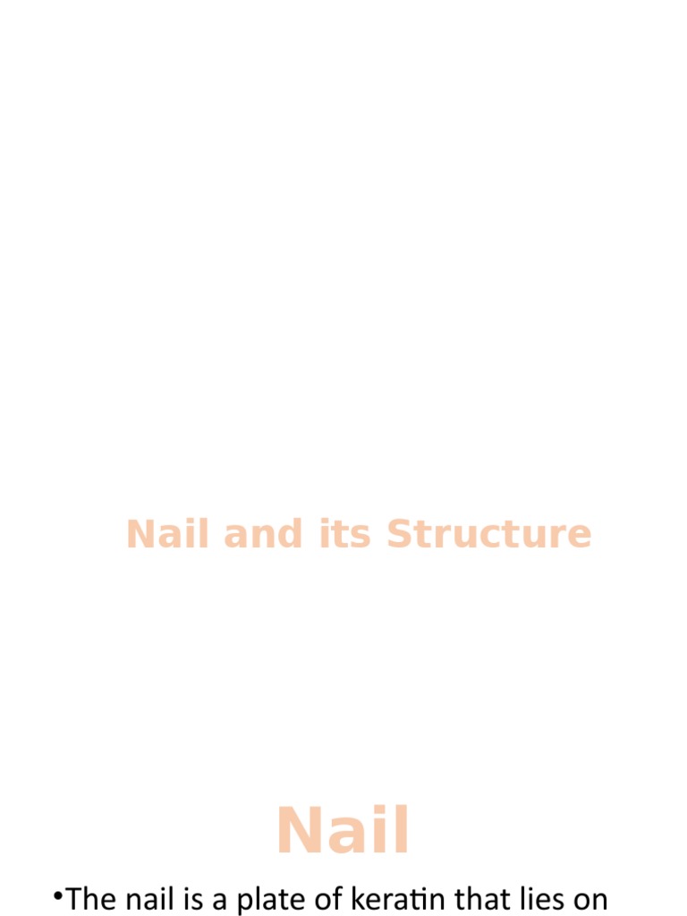 Nail Structure | PDF
