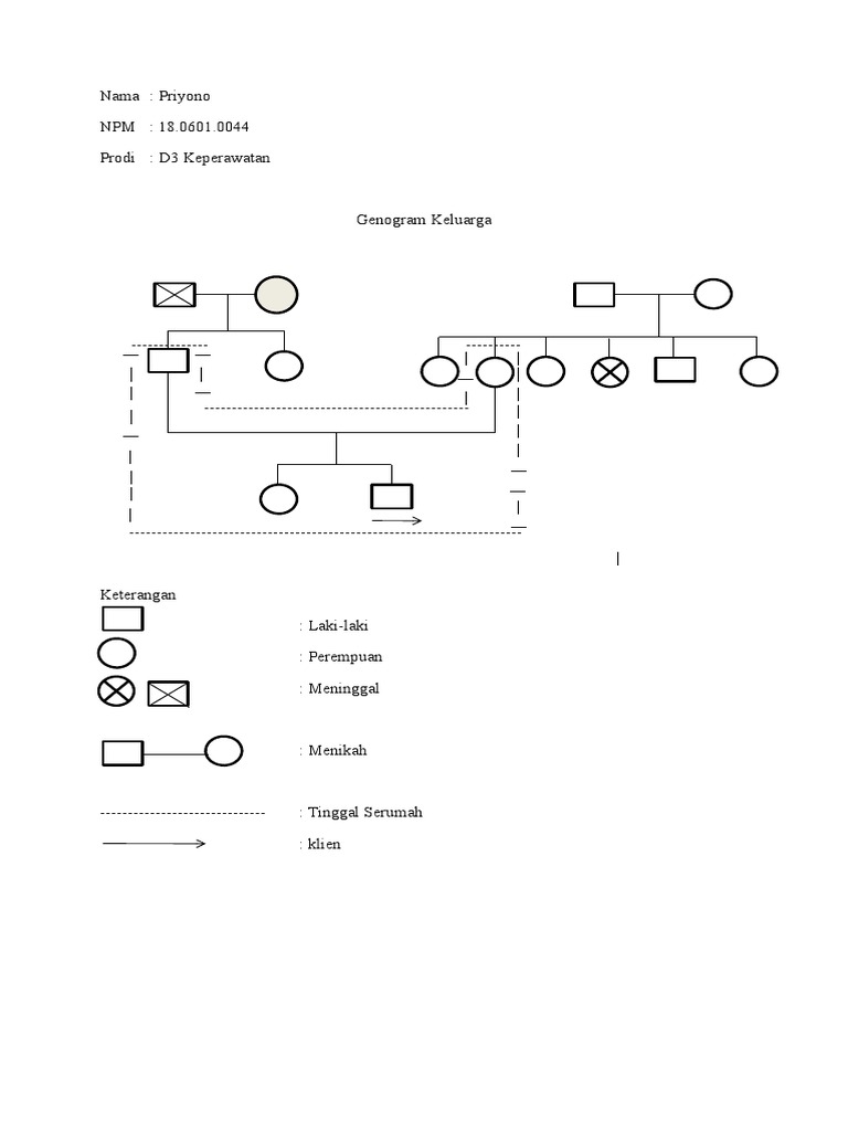 Genogram | PDF